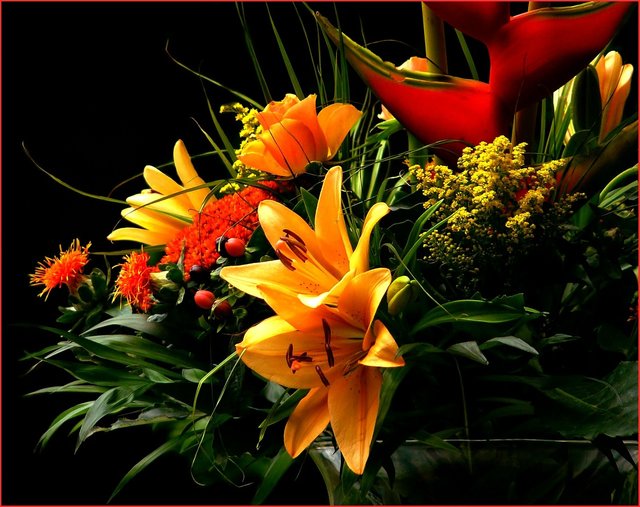 Flower Arrangements - Art or Design by Zayah World