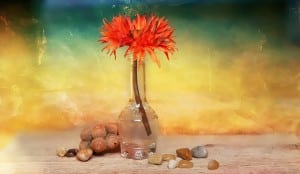 Flower Arrangements - Art or Design by Zayah World